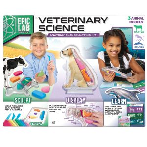 STEM - Activity Kits